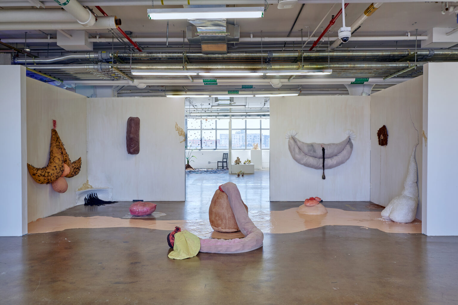 Fine Arts - School of Art - Pratt Institute