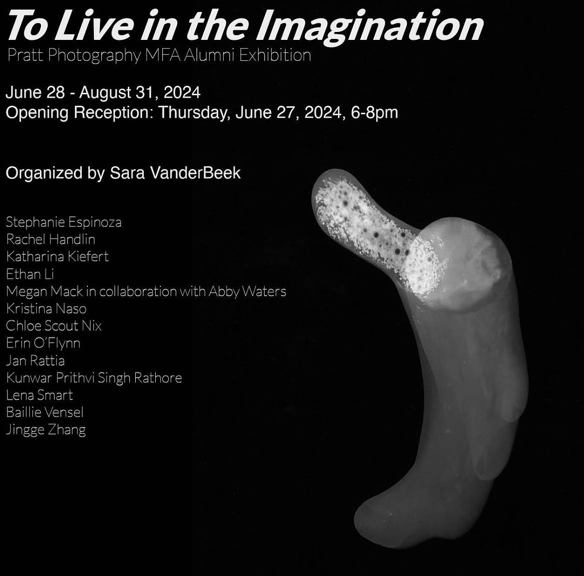 Photography, MFA - School of Art