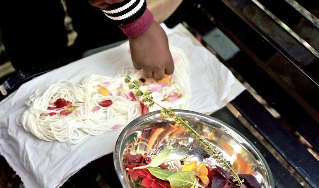 Weaving Threads: Natural Dyes at the Intersection of Art & Science ...