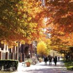 The Center for Interdisciplinary Studies - Pratt Institute