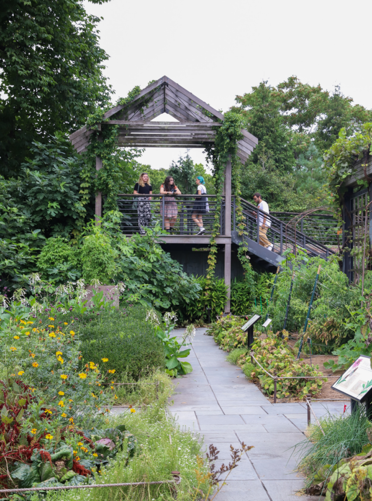 Life in Brooklyn - Pratt Institute