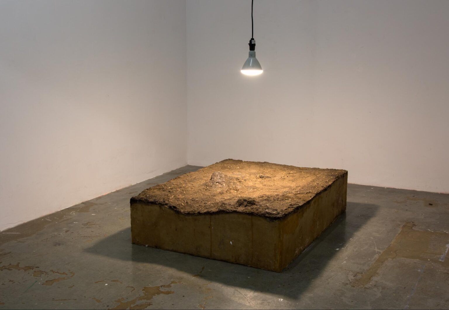 Topography - Pratt Institute