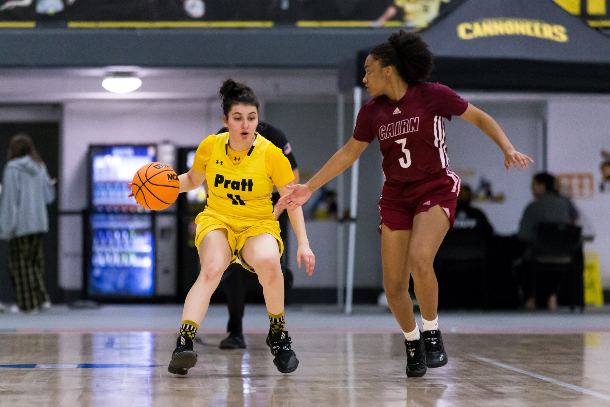 Women’s Basketball Home Game vs. Christopher Newport University