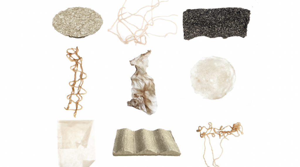 Hemp Matter Biomaterials Pratt Institute