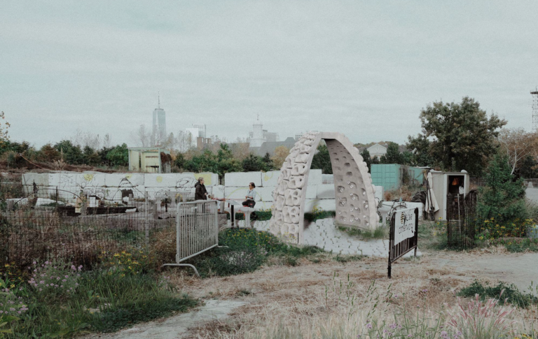 Feral Surfaces: designing the multi-species city - Pratt Institute