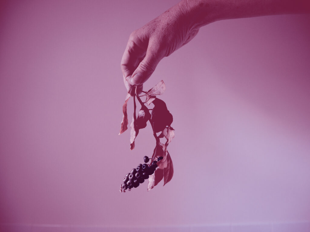 Sensory Cookbook for a Warming Climate: A recipe book for creating ...