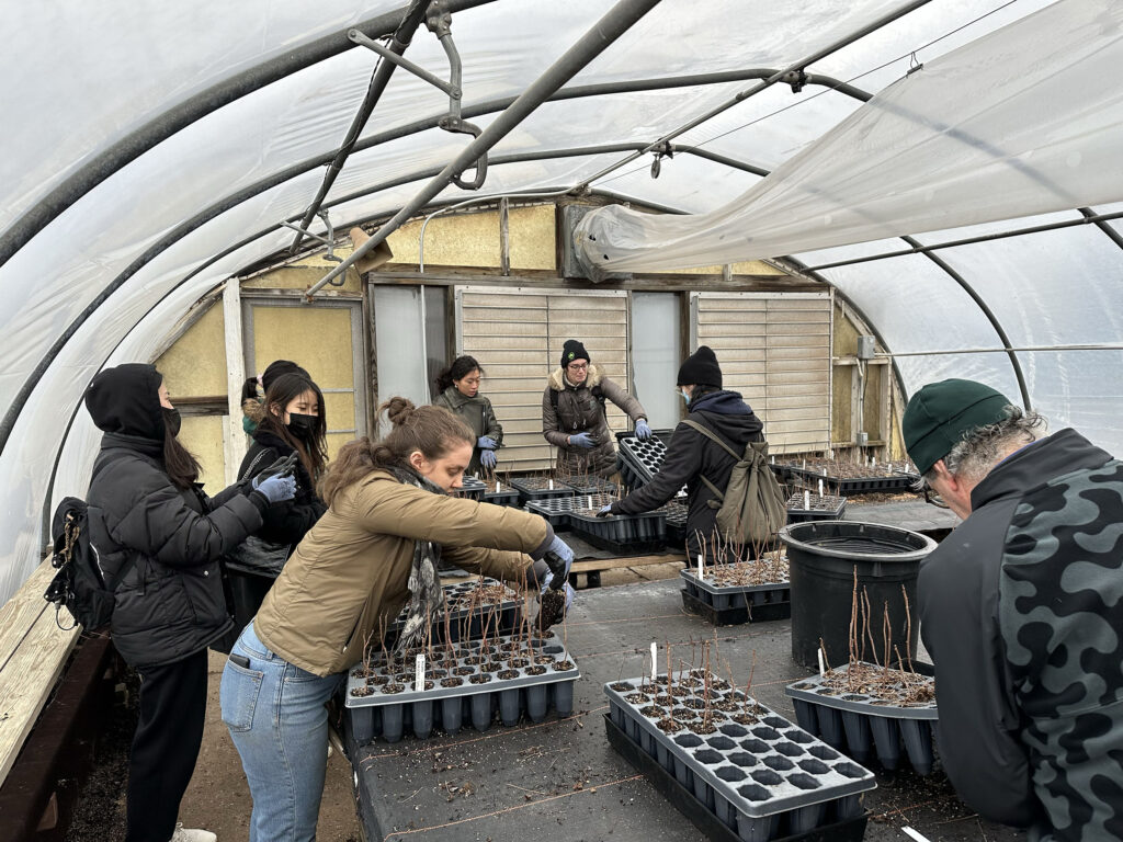 Student Inspiration for Biocentric Design Blooms at Plant Nursery ...