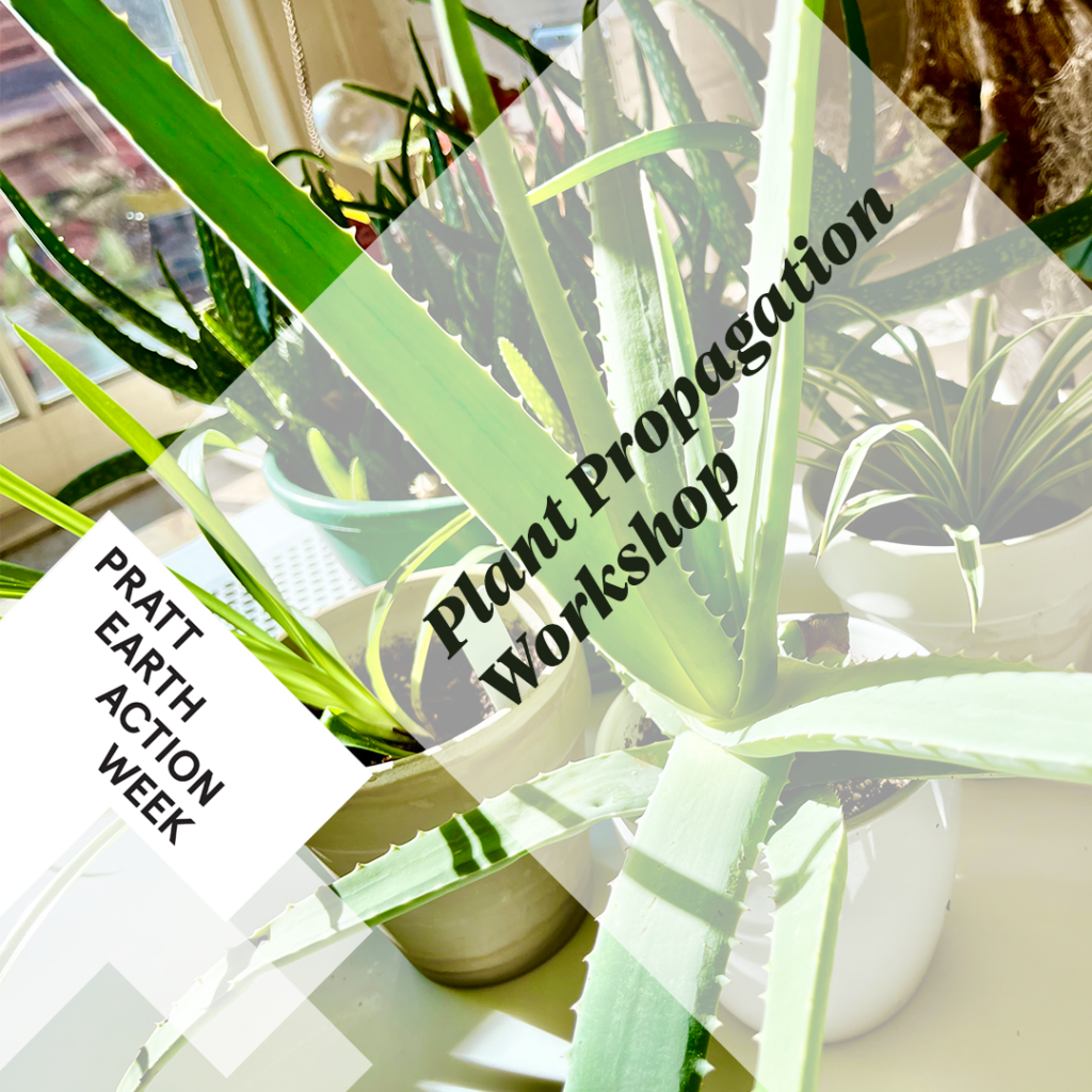 Plant Propagation Workshop