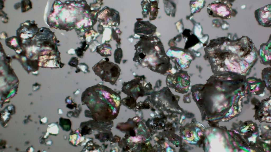 The Colors Of Clear - Pratt Institute