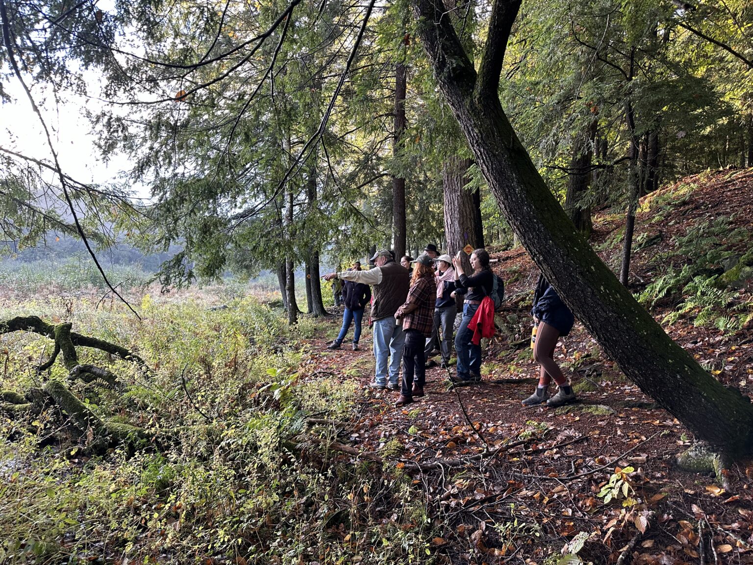 Land-Based Learning in the Catskills - Pratt Institute