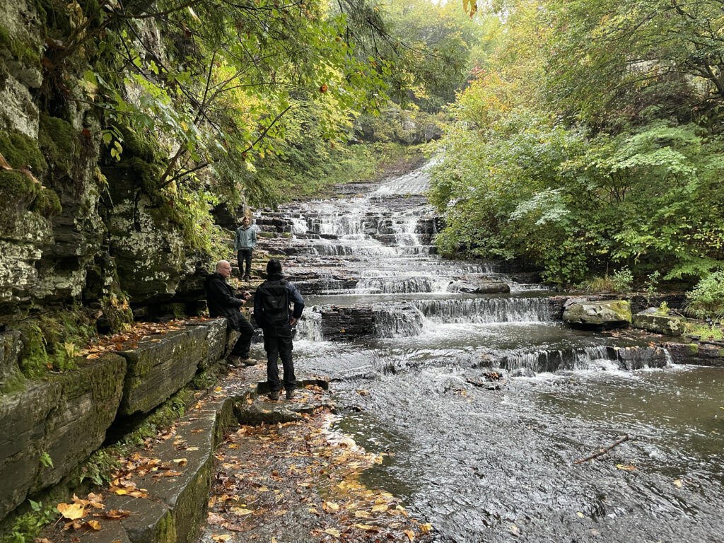 Land-Based Learning in the Catskills - Pratt Institute