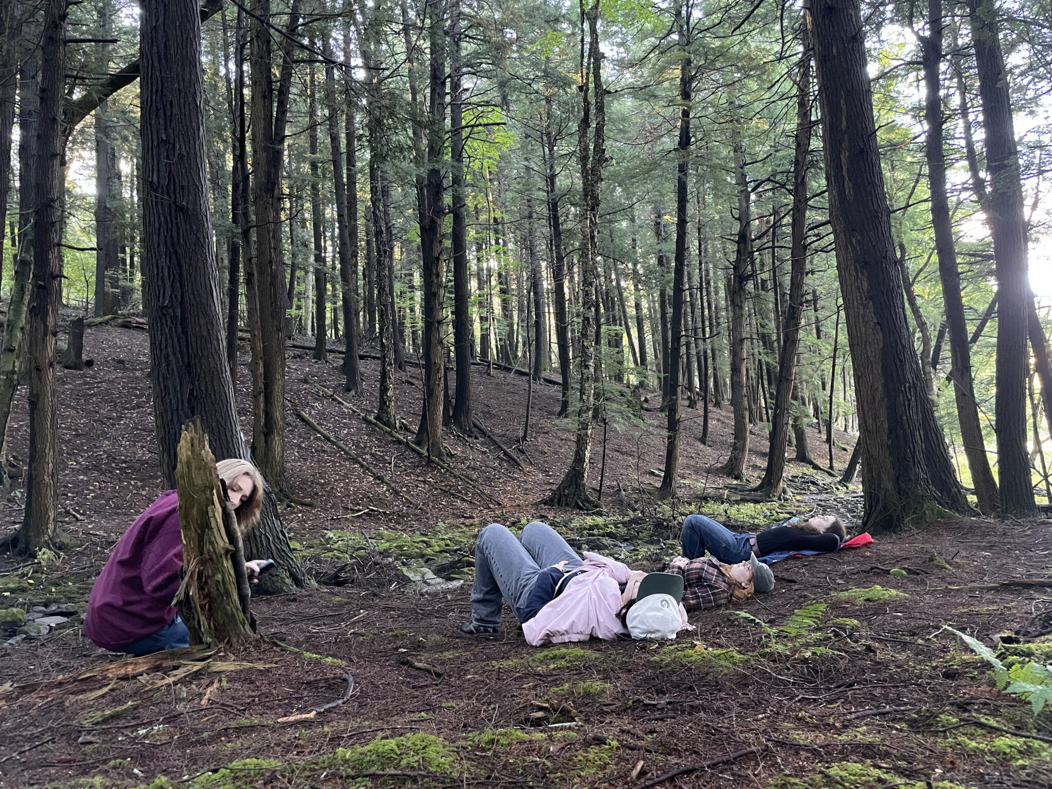 Land-Based Learning in the Catskills - Pratt Institute