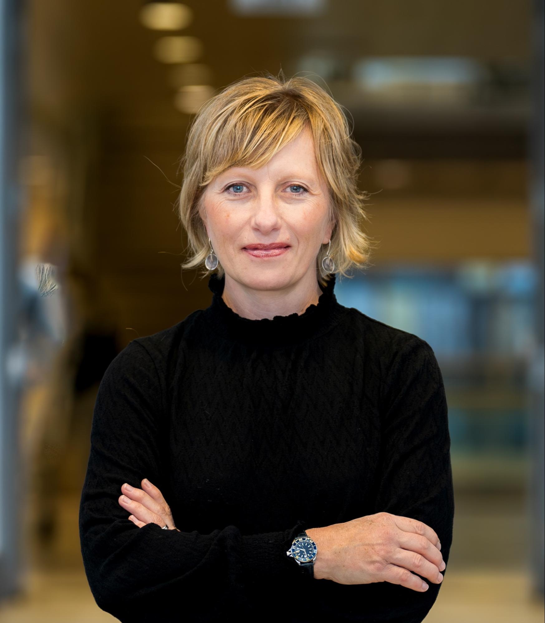 ISTP 2026 Conference – “Theorizing in Dark Times – Art, Narrative ...